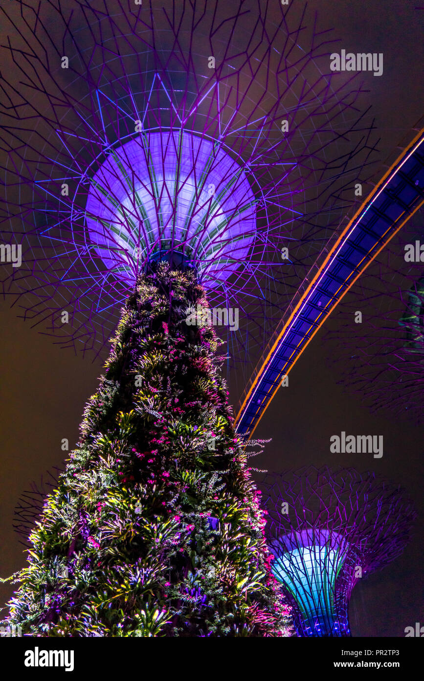 Super Trees in Singapore Stock Photo - Alamy