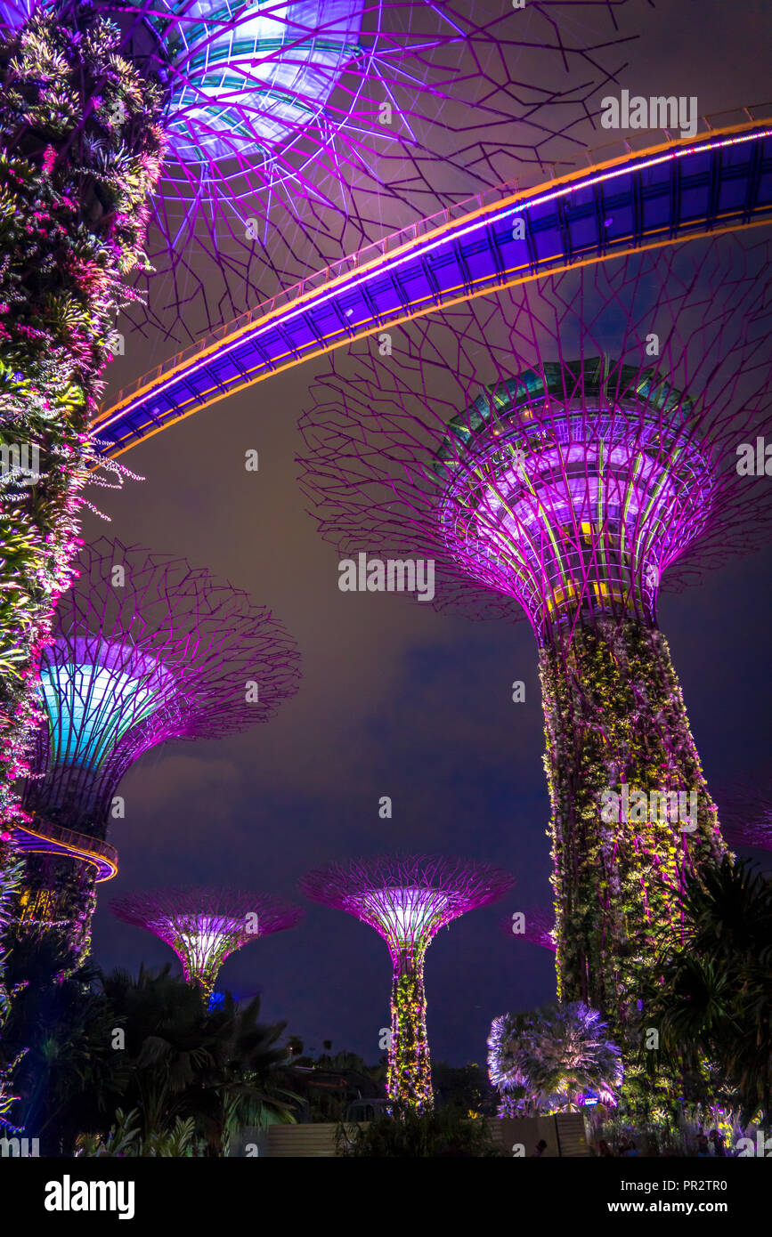 Super Trees in Singapore Stock Photo - Alamy
