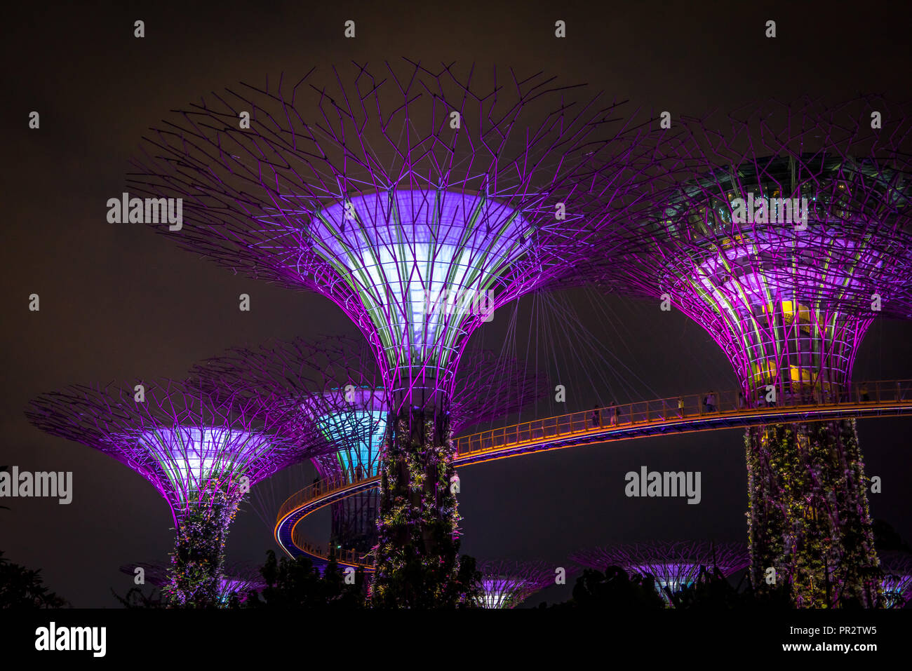 Super Trees in Singapore Stock Photo - Alamy