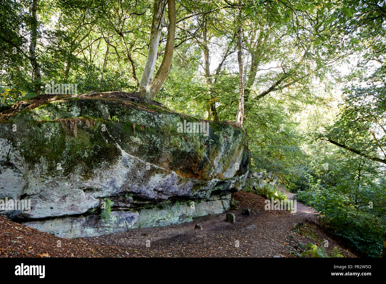 Alderley Edge, Cheshire, Rocks around the Edge Stock Photo - Alamy