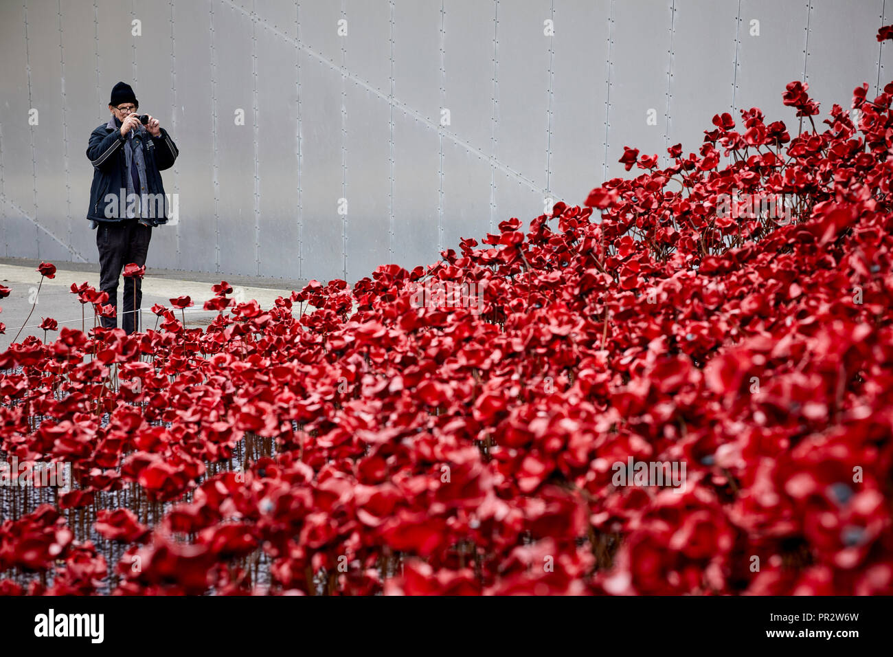 IWMN Wave cascade several thousand handmade ceramic poppies sculptures ...