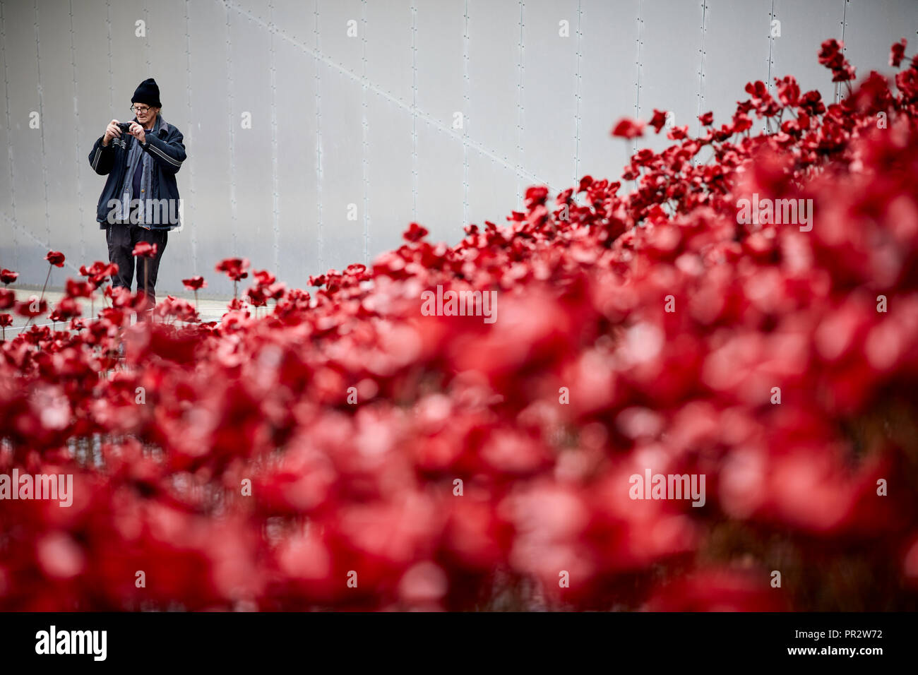 copyspace, IWMN Wave cascade several thousand handmade ceramic poppies ...