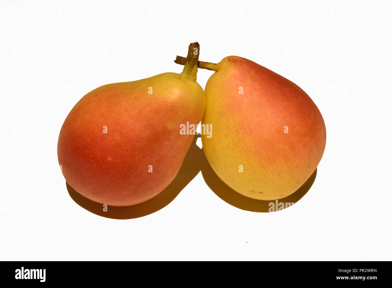 View of two pears on white background Stock Photo - Alamy