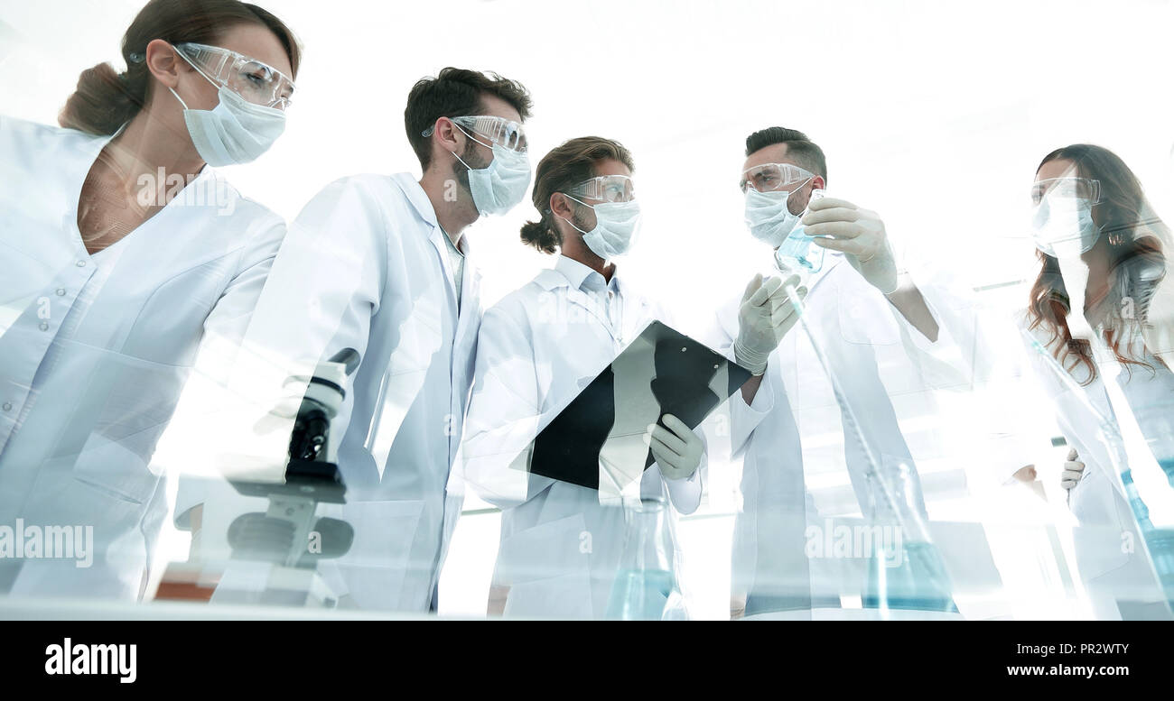 scientists working with test tubes and microscope in the laboratory ...