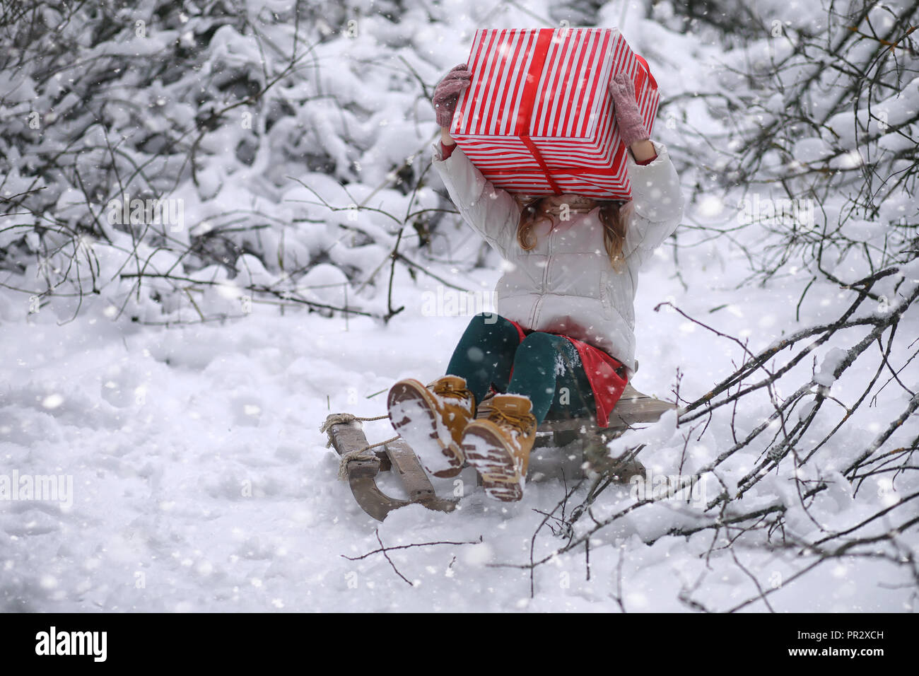 A winter fairy tale, a young mother and her daughter ride a sled Stock ...
