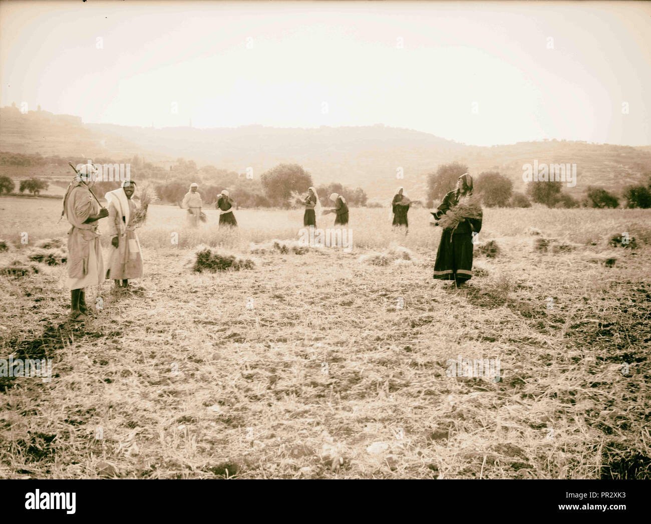 Ruth series, Ruth the Moabitess 1898, Middle East, Israel and/or ...