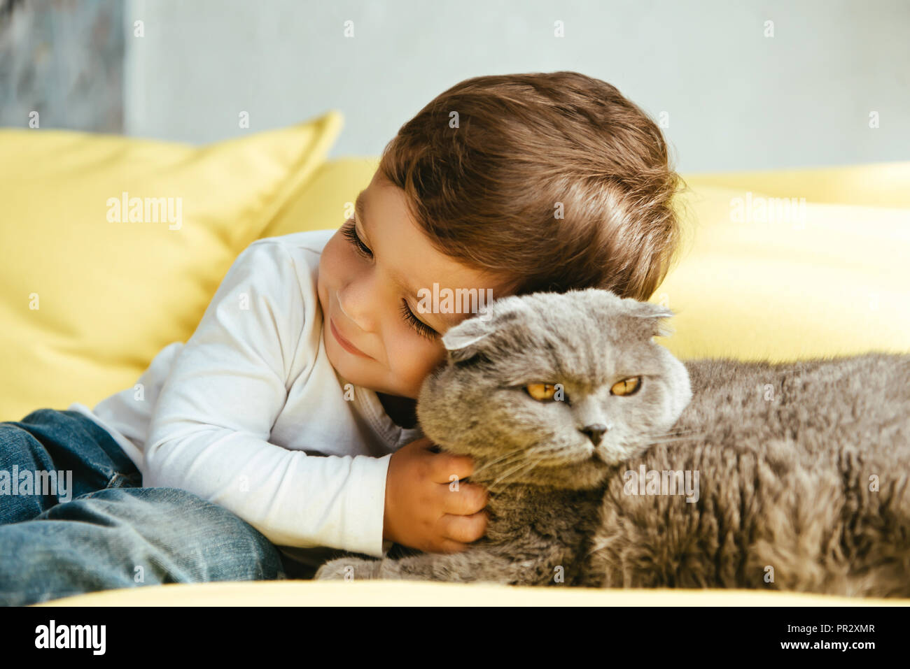 Boy Hugging Cat High Resolution Stock Photography and Images - Alamy