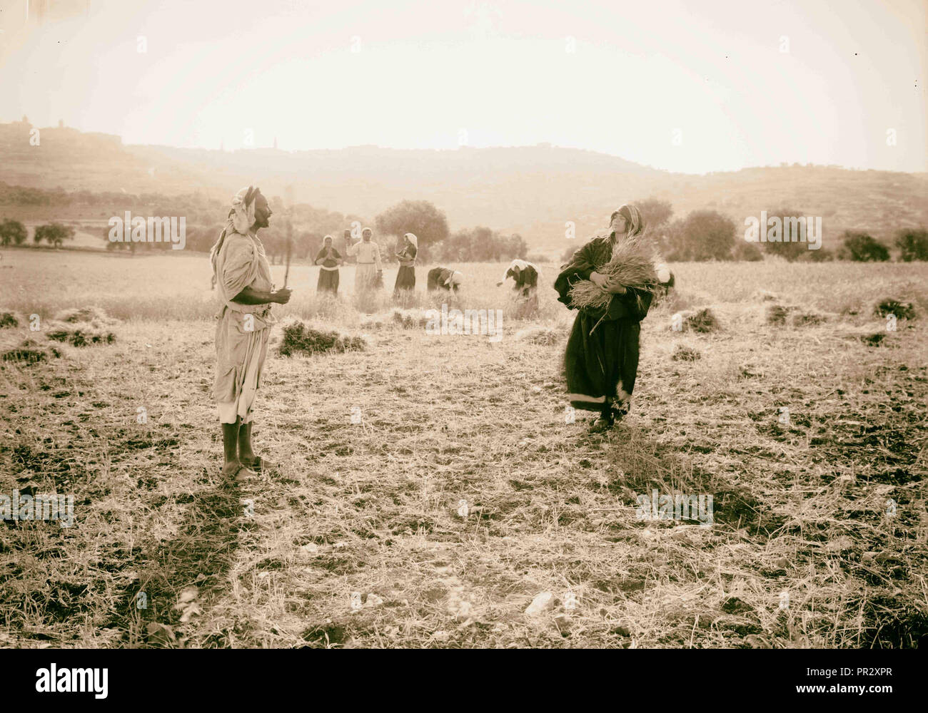 Ruth series Threshing floor, winnowing, 1898, Middle East, Israel and ...