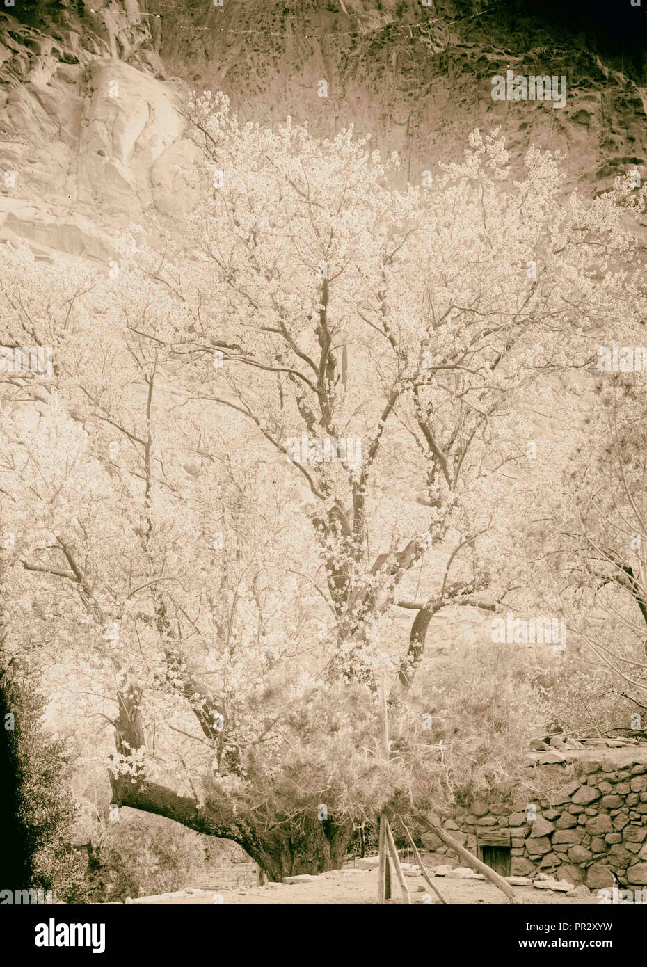 Wady hebron hi-res stock photography and images - Alamy