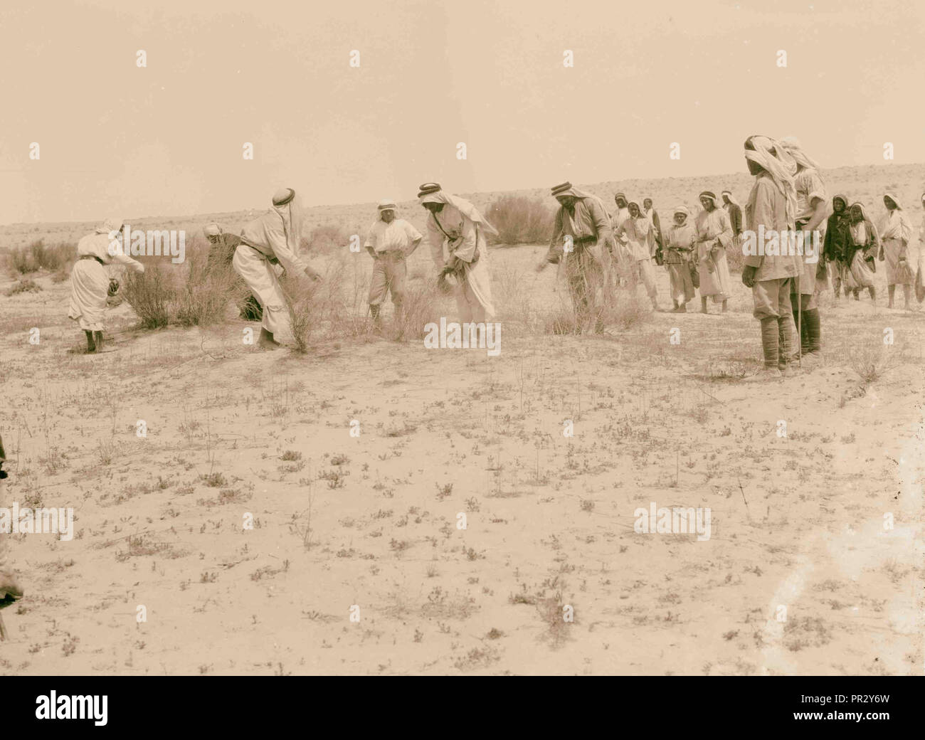 Palestine killing hi-res stock photography and images - Alamy