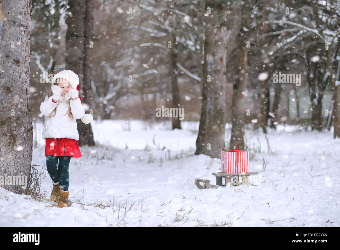 A winter fairy tale, a young mother and her daughter ride a sled Stock ...