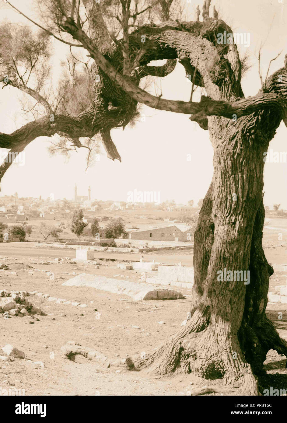 Ramleh israel hi-res stock photography and images - Alamy