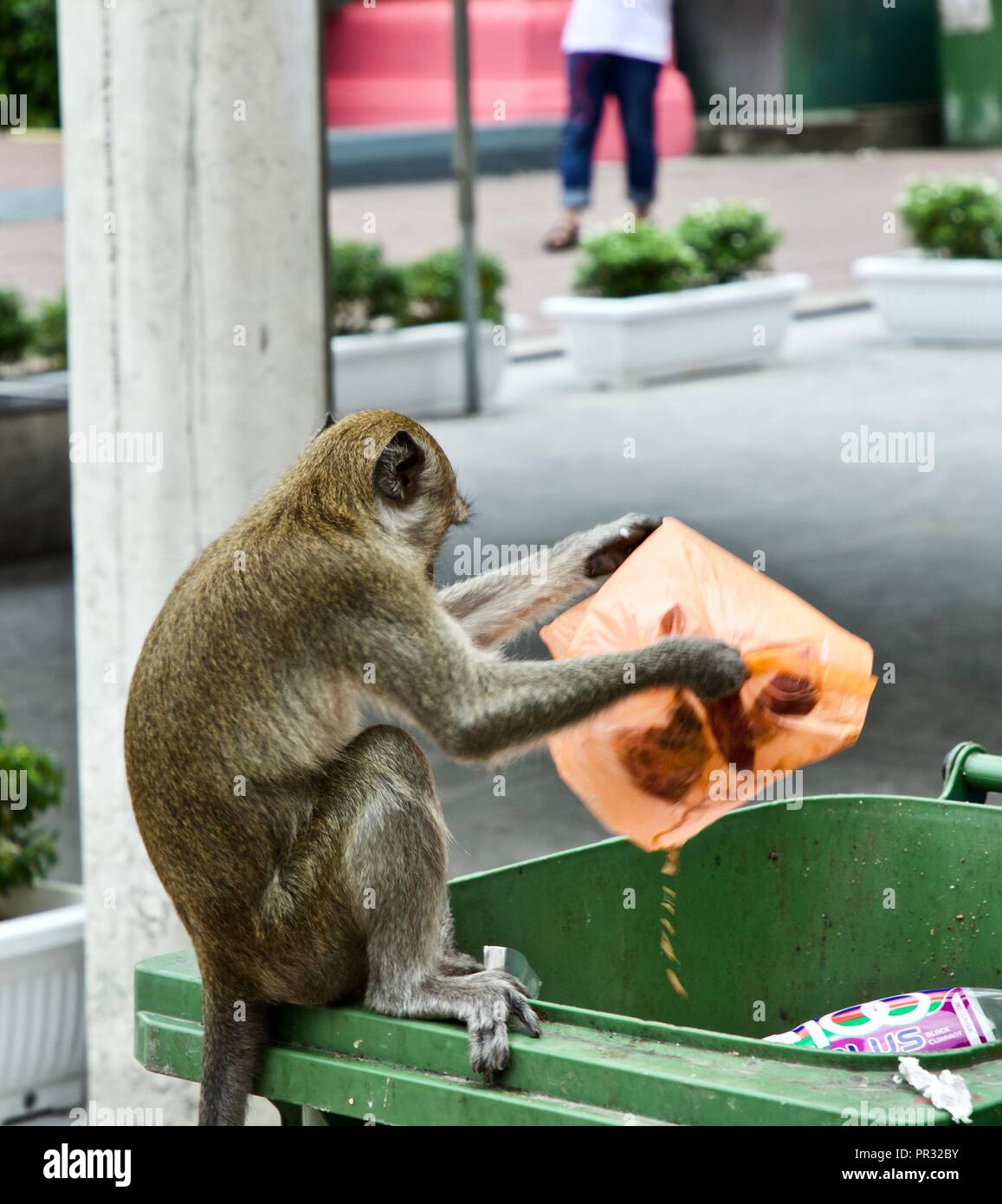 Rubbish bin funny hi-res stock photography and images - Alamy