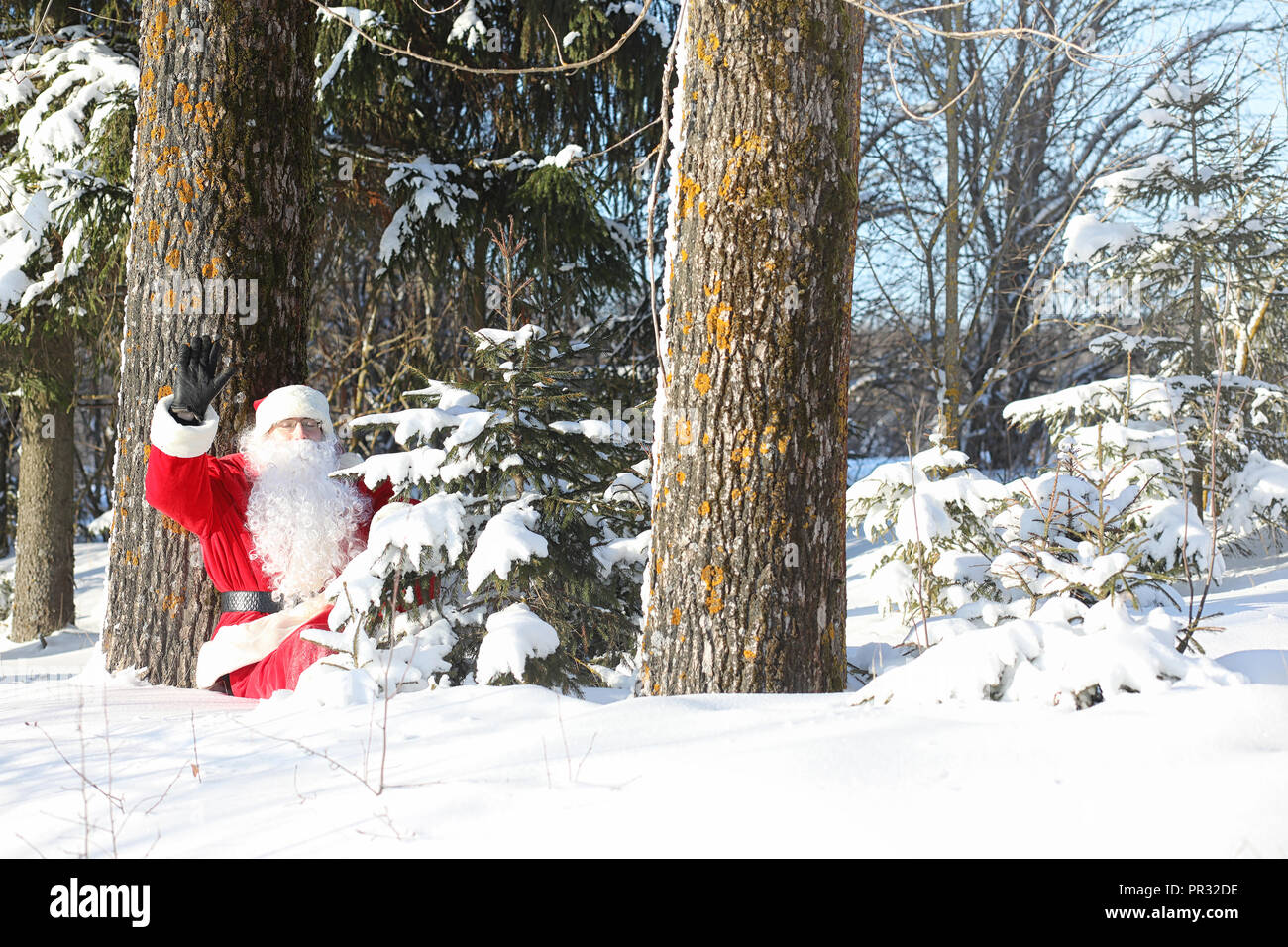 Santa Claus comes with gifts from the outside. Santa in a red su Stock ...