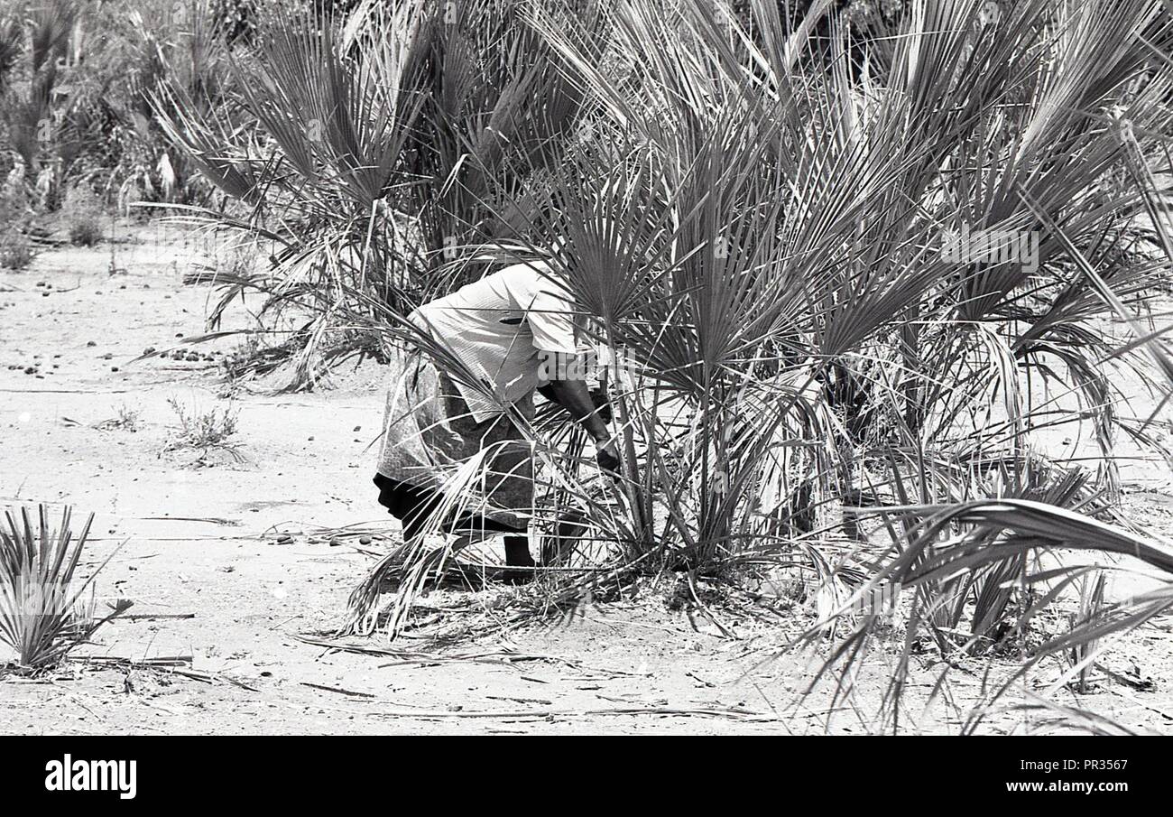 Various negatives of the ANE, AFR & LAC Region Stock Photo - Alamy