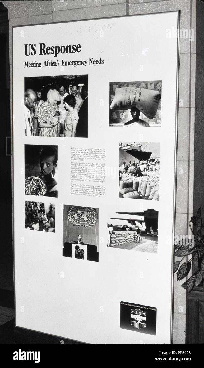 Miscellaneous photos of various people Stock Photo - Alamy