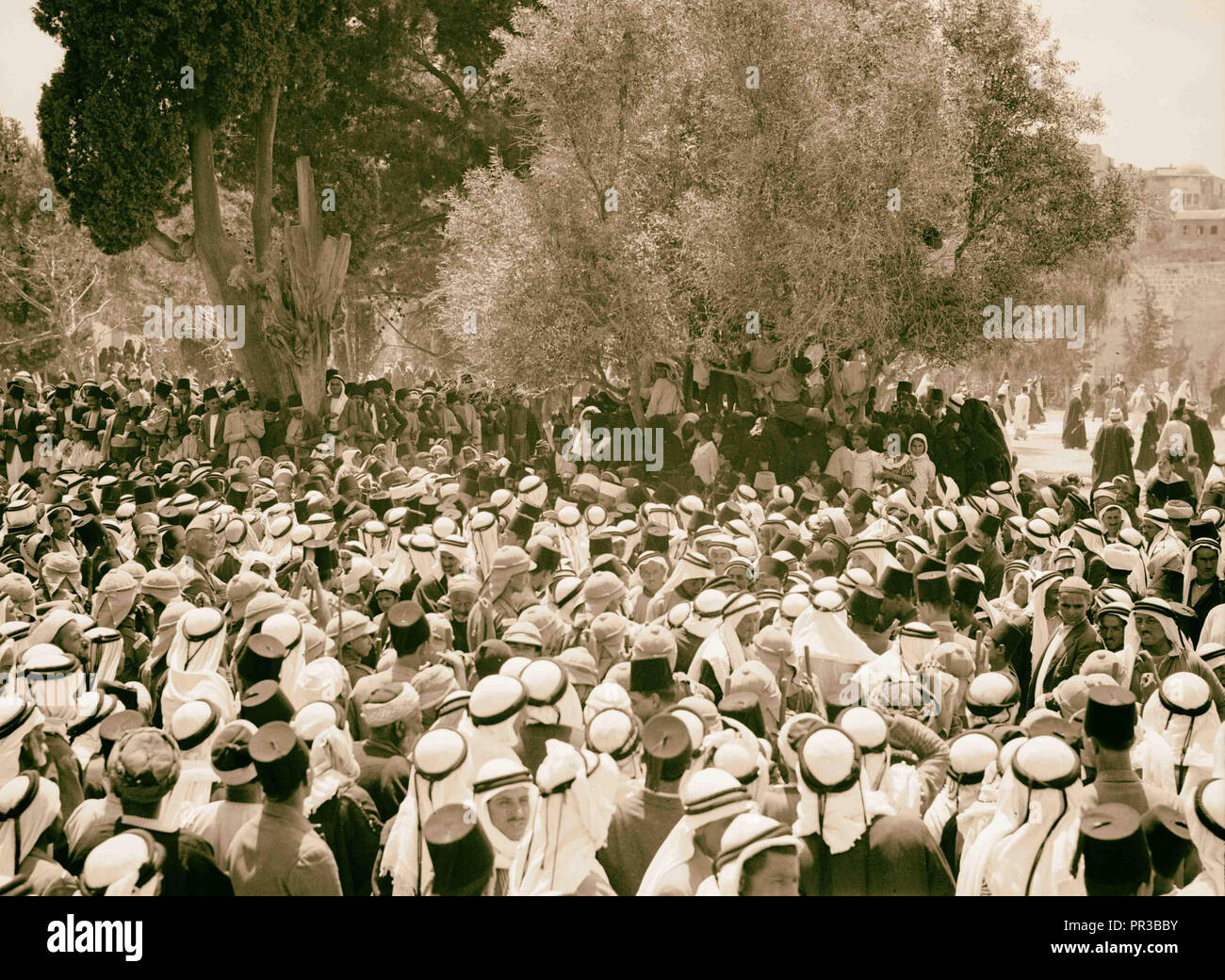 Nebi musa israel hi-res stock photography and images - Alamy