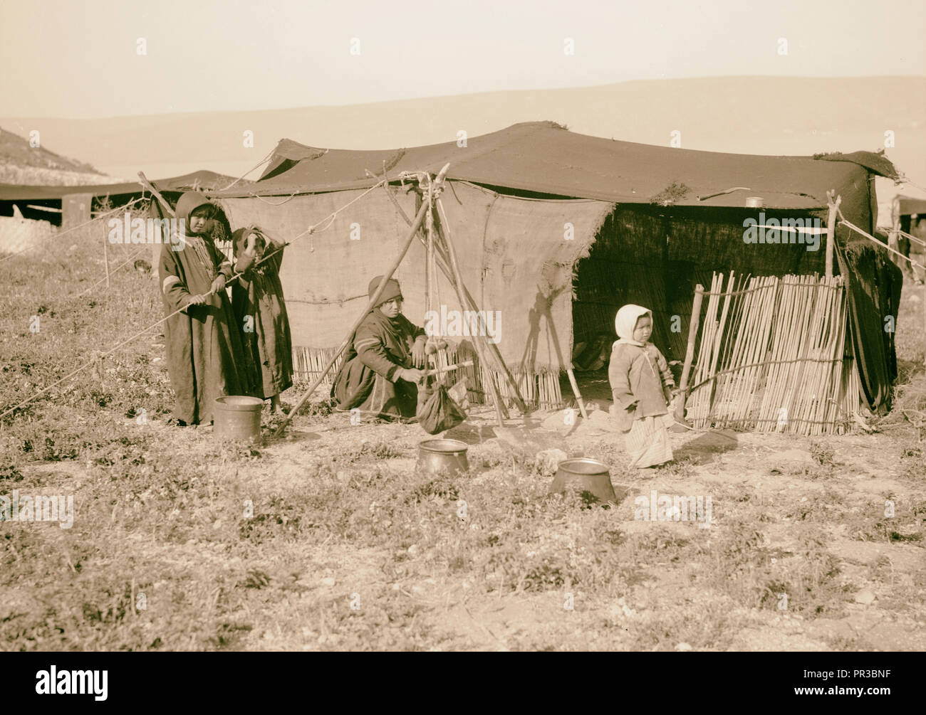 Gamala (Kal'at el-Huson east of the Sea of Galilee). Bedouin tent near ...