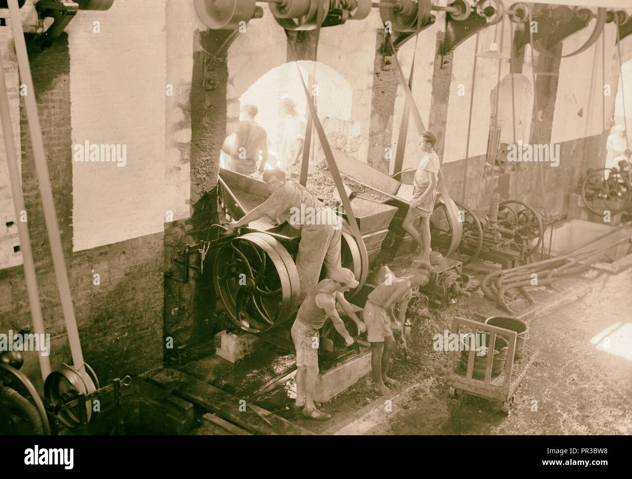 Vintage activities at Richon-le-Zion, Aug. 1939. Dumping grapes into ...