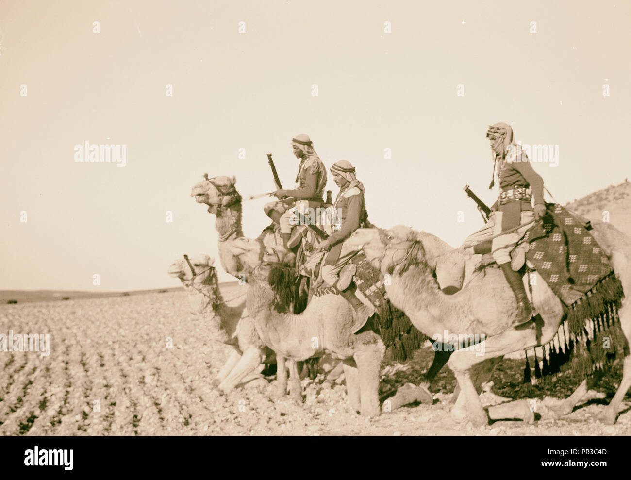 A tribal lunch at cavalry post at Tel-el-Meleiha, 20 miles North of ...
