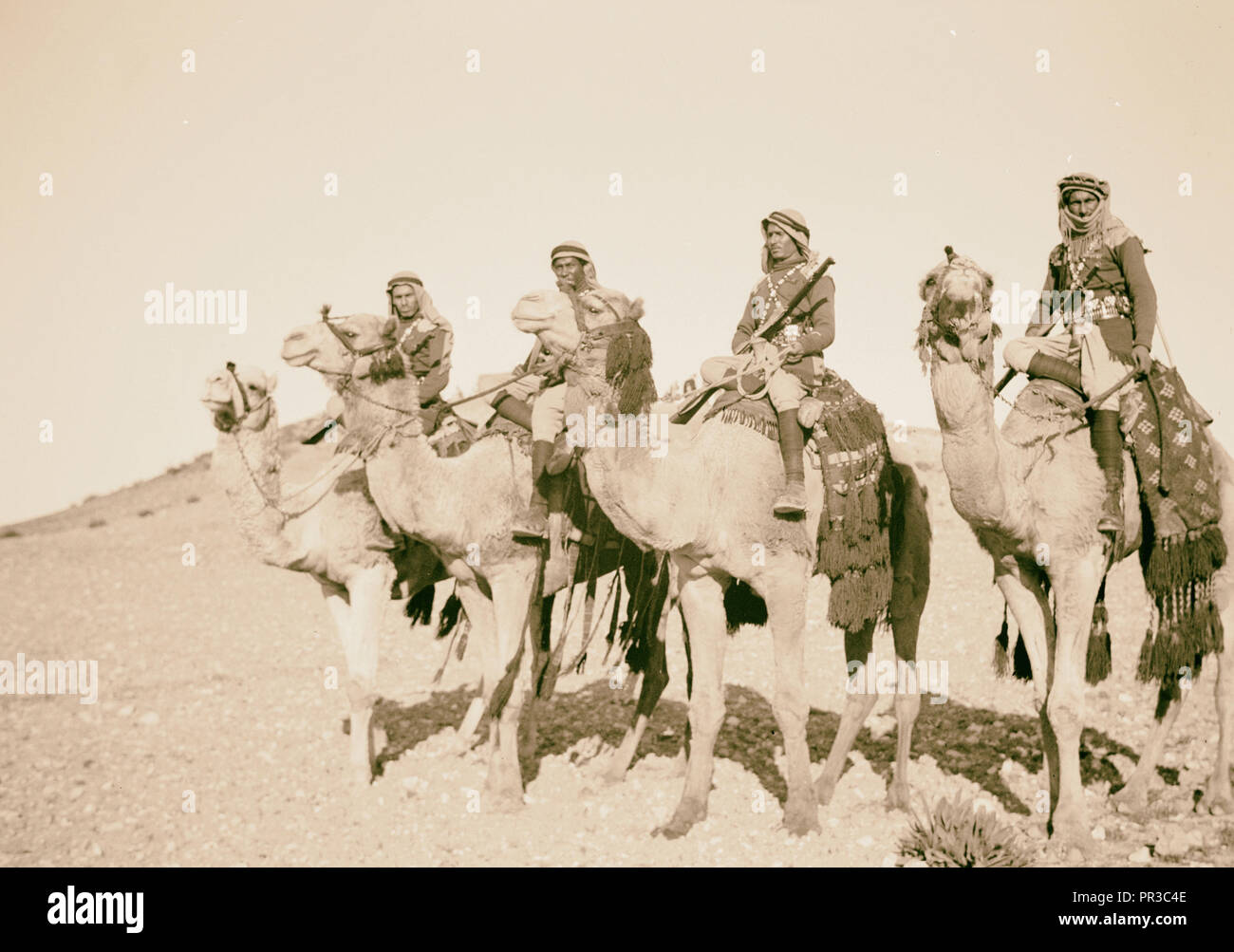 Camel cavalry hi-res stock photography and images - Alamy