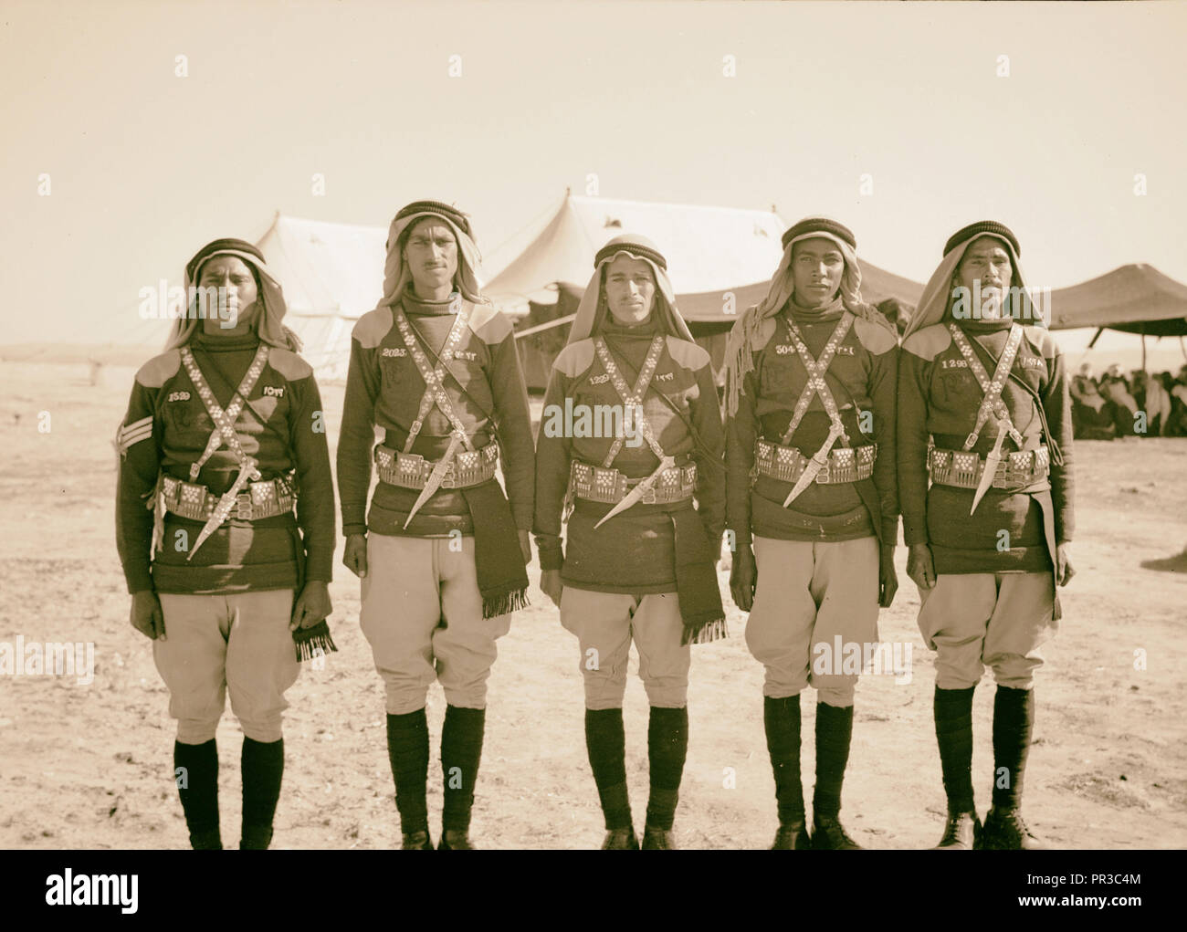 Camel Cavalry High Resolution Stock Photography and Images - Alamy