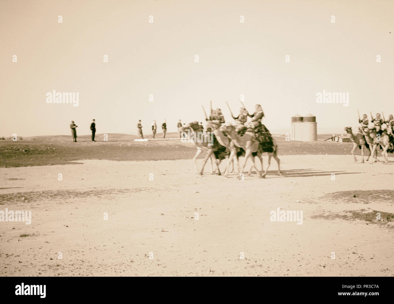 Camel corps hi-res stock photography and images - Alamy