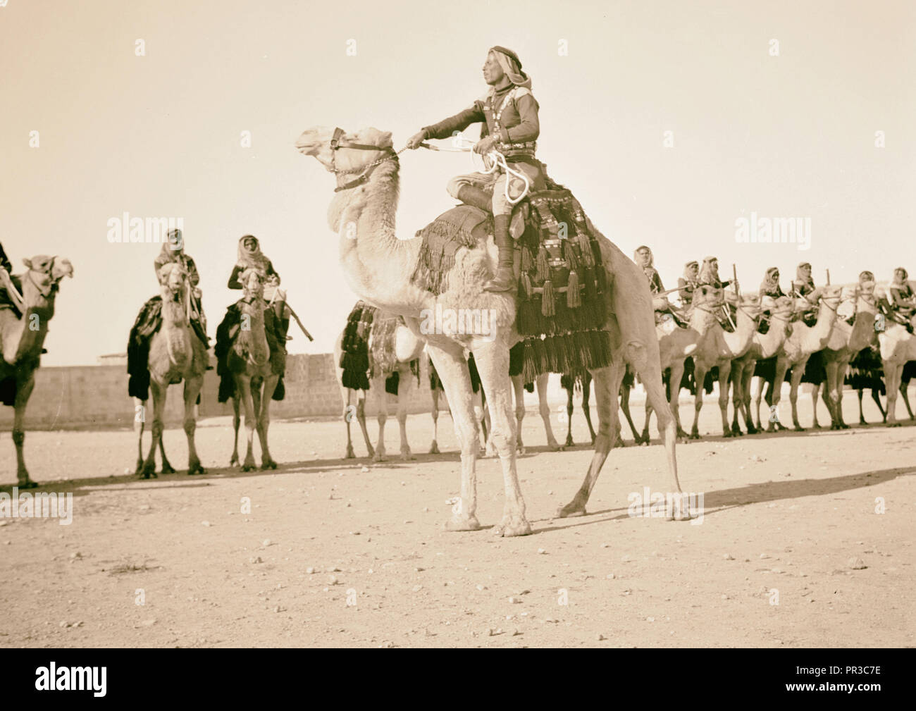 Camel mounted hi-res stock photography and images - Alamy