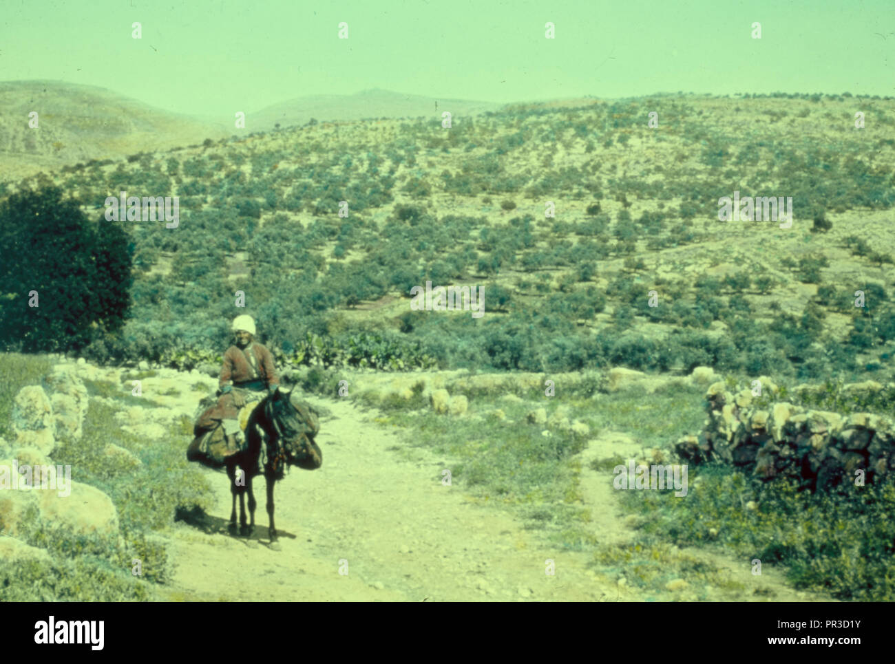 Beth horon hi-res stock photography and images - Alamy