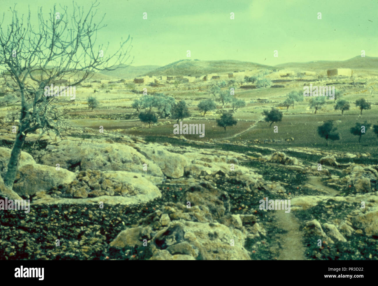 Jaffa to Jerusalem. Lower Beth Horon. Joshua 163. 1950, West Bank ...