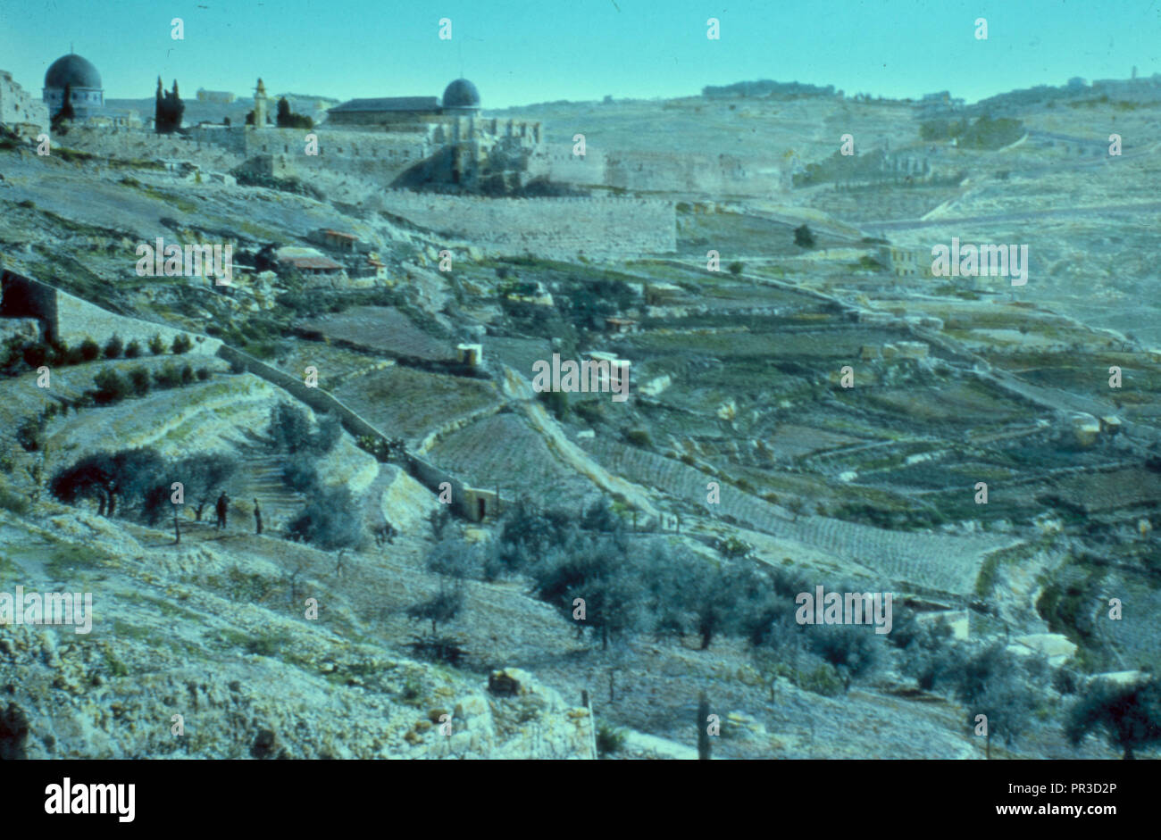 Jerusalem. Hill of Ophel. 1950, Jerusalem, Israel Stock Photo - Alamy