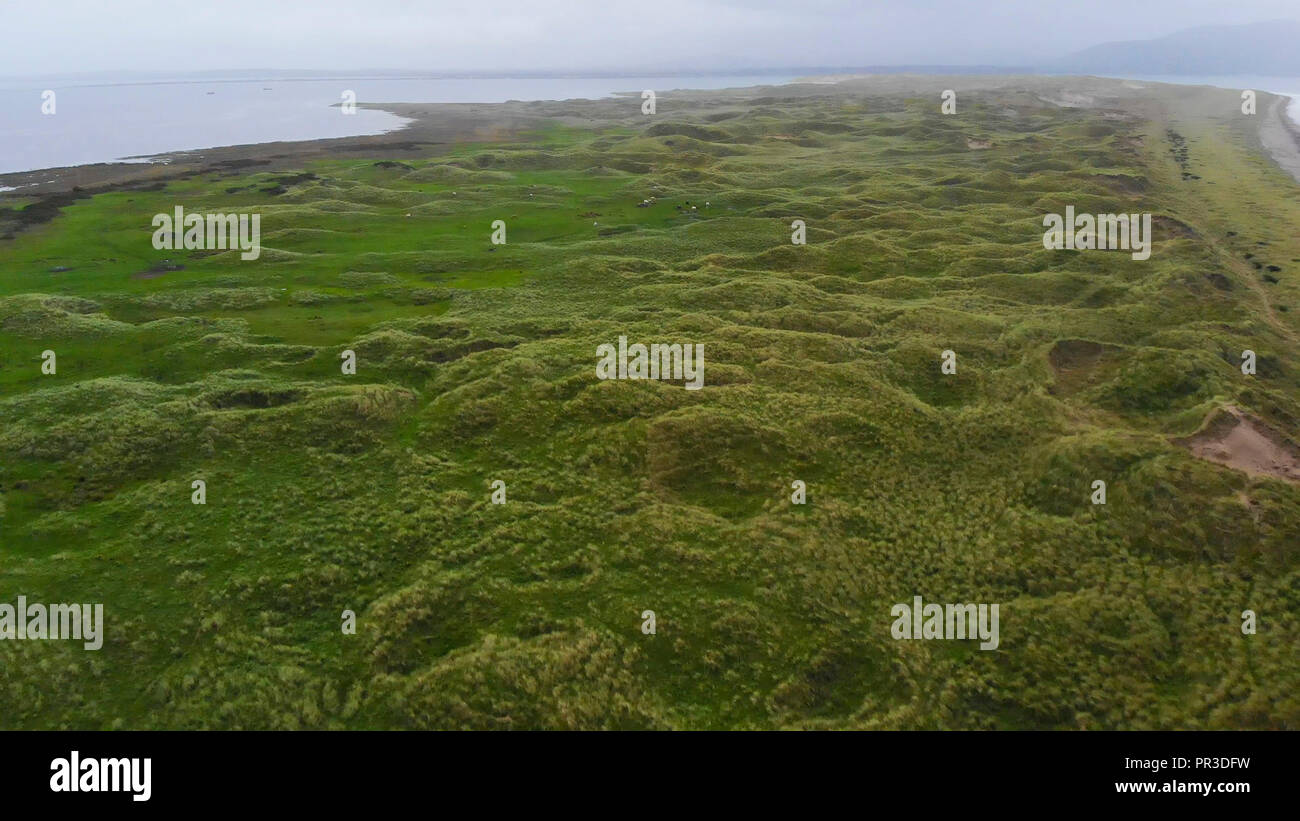 Aerial view over green grassy dunes at the Atlantic ocean Stock Photo ...