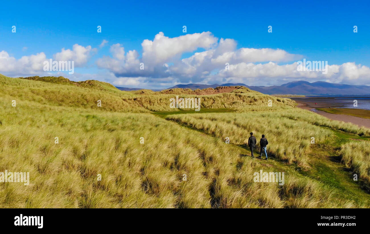 Walk through the beautiful nature of Ireland Stock Photo - Alamy