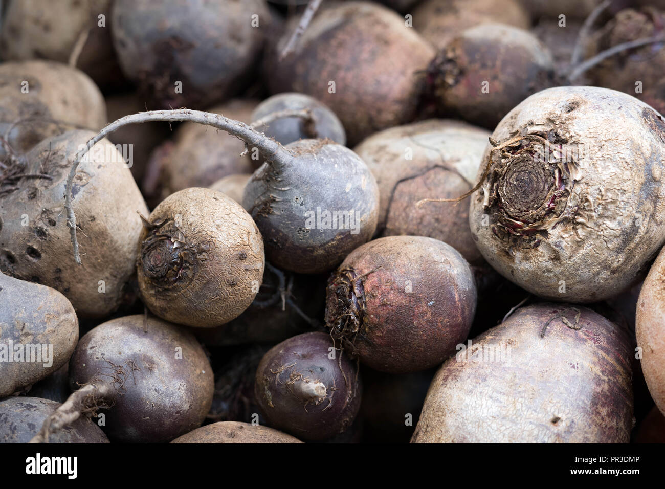 Bulk veggies hi-res stock photography and images - Alamy