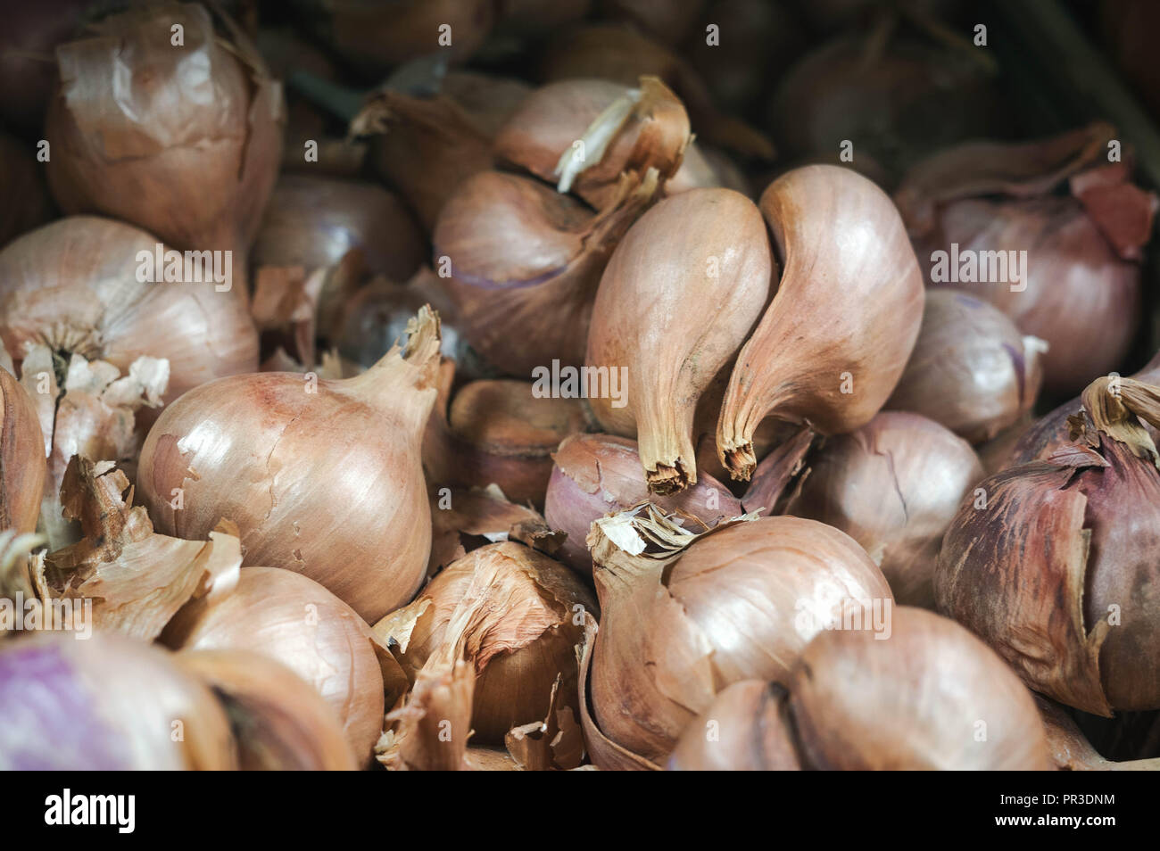 Bulk veggies hi-res stock photography and images - Alamy