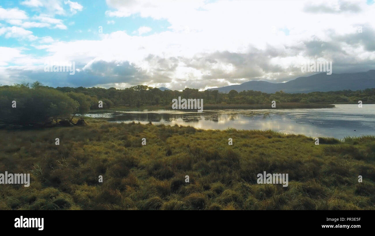 Awesome Nature at Killarney National Park in Ireland Stock Photo - Alamy