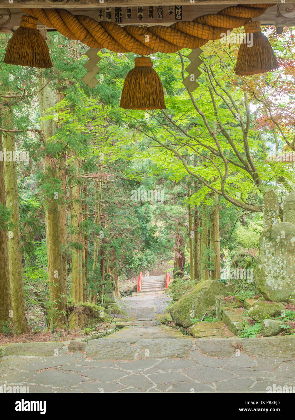 Japanese sacred rope hi-res stock photography and images - Alamy