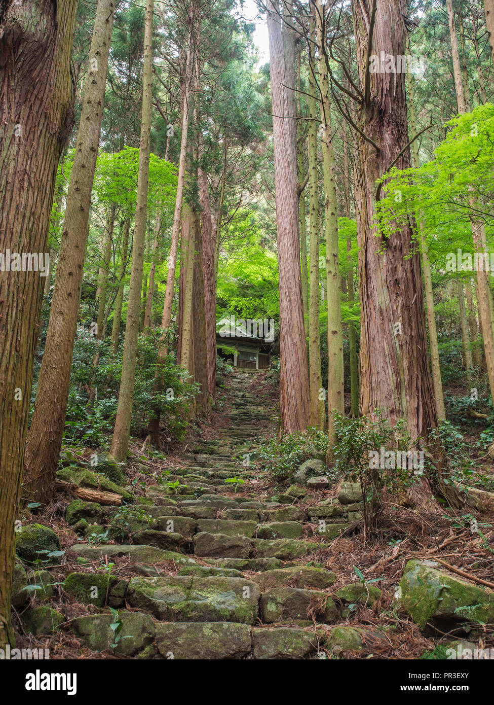 Ruins of sentoji temple hi-res stock photography and images - Alamy