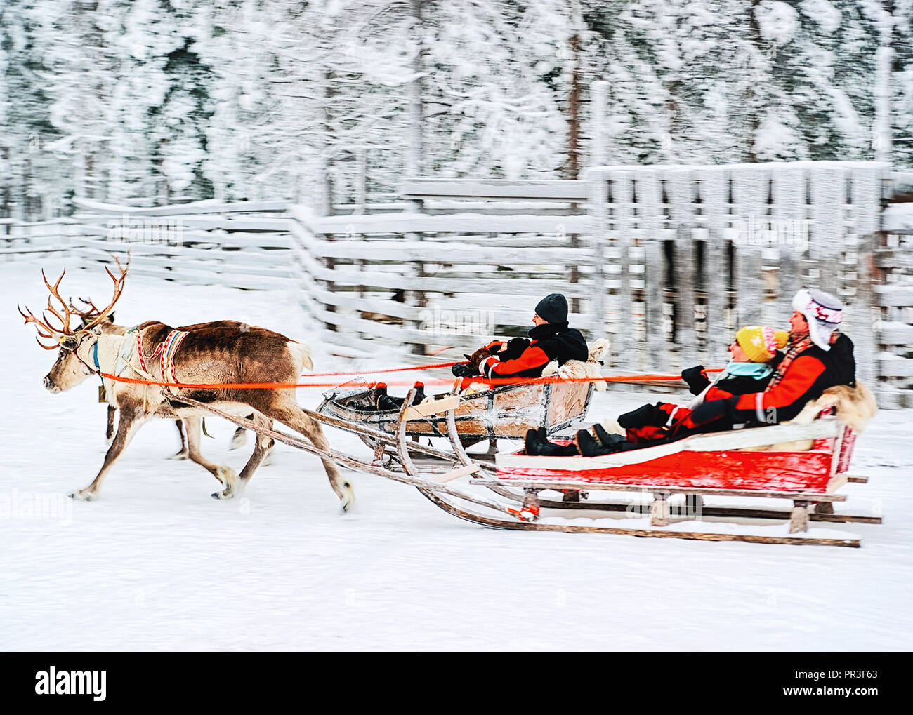Saami people hi-res stock photography and images - Alamy
