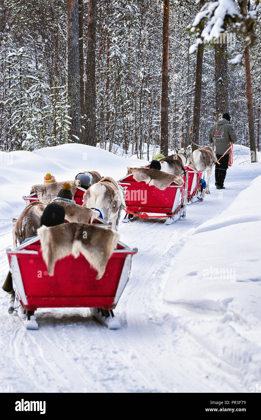 Rovaniemi, Finland - March 3, 2017: Reindeer Sled Safari Ride, Winter ...