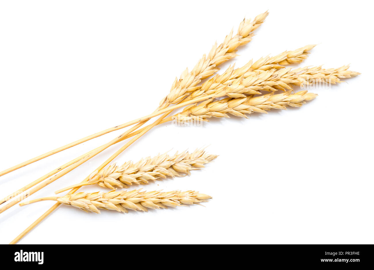Wheat isolated on white background Stock Photo - Alamy