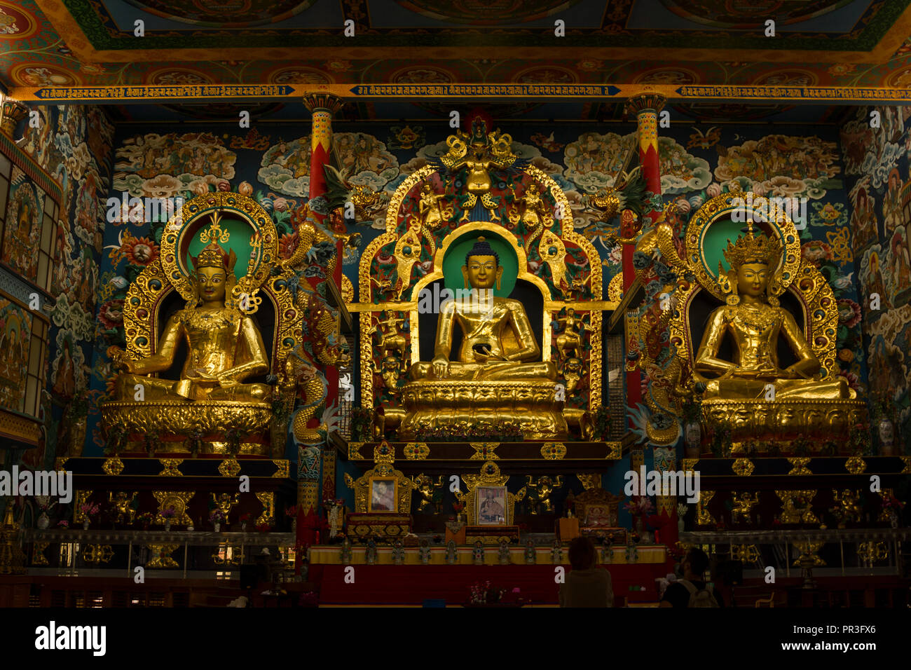 Namdroling monastery golden temple hi-res stock photography and images ...