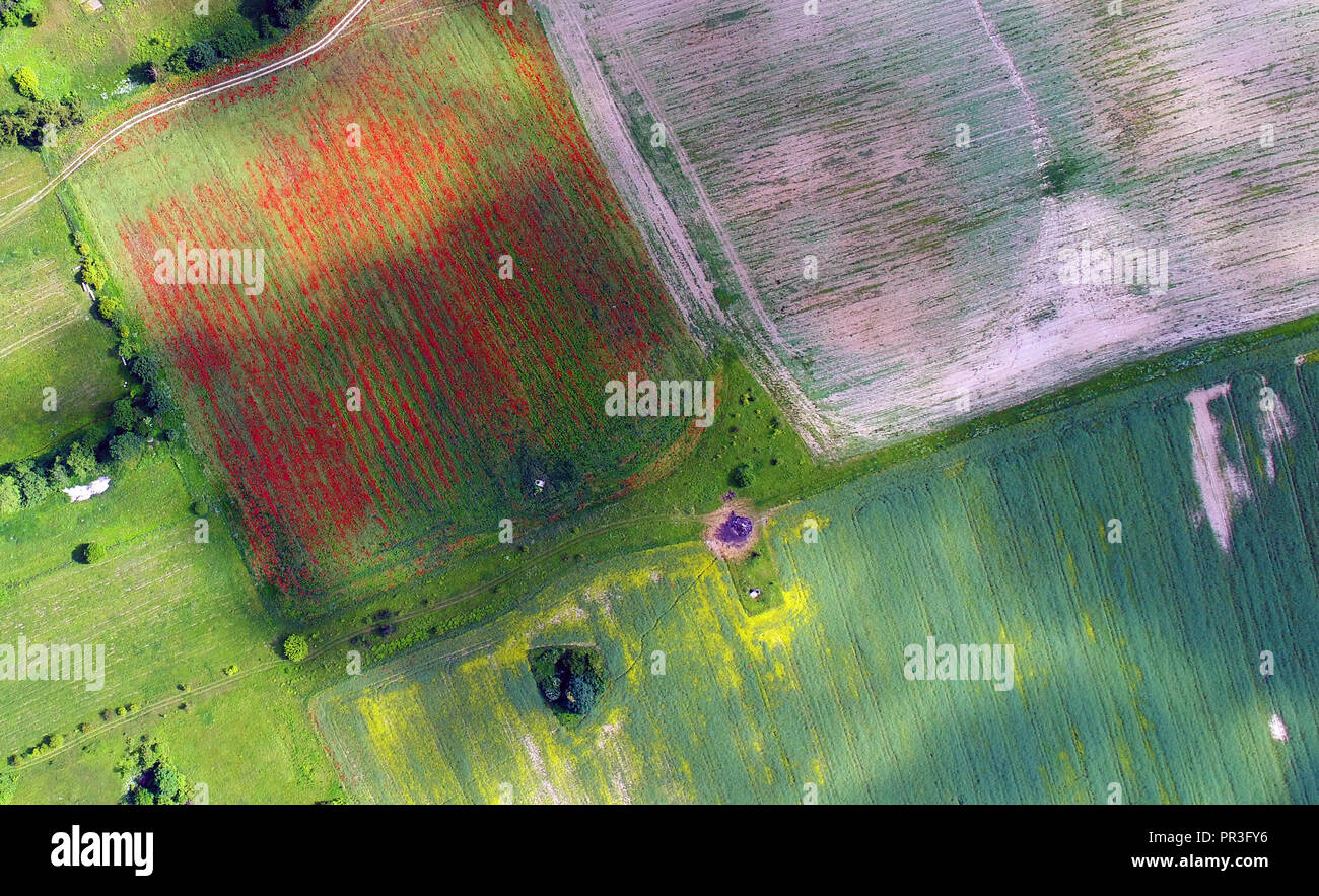Aerial landscape of fields of poppy Stock Photo - Alamy