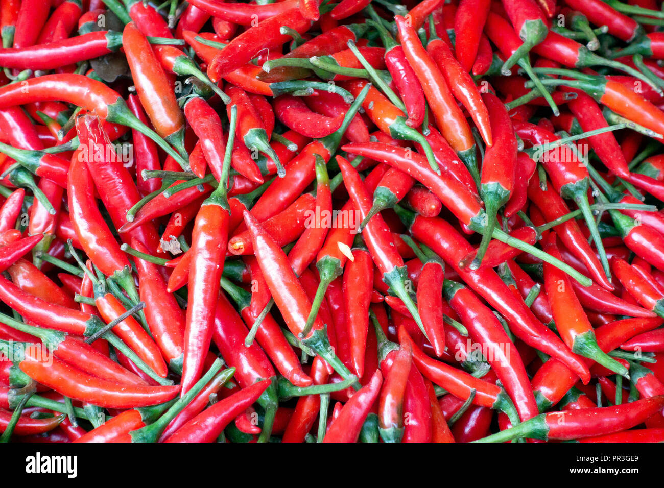 red chili pepper background Stock Photo - Alamy