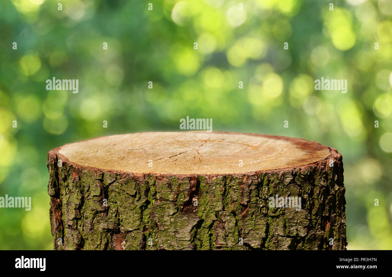 Tree trunk background Stock Photo - Alamy