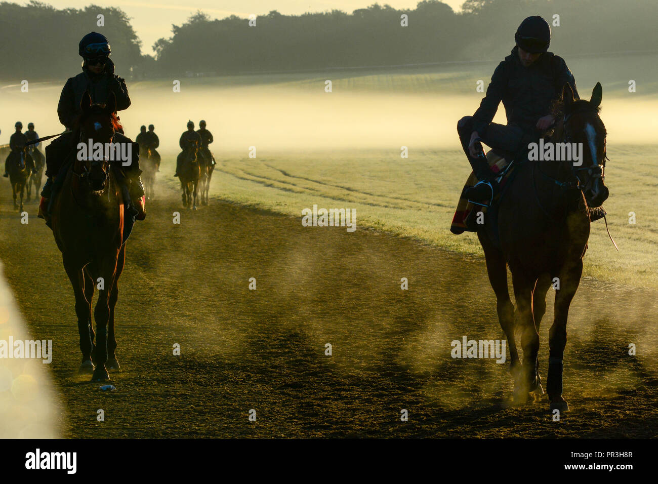 Newmarket , Suffolk, UK, 2018-09-29, Horses up early for their training ...