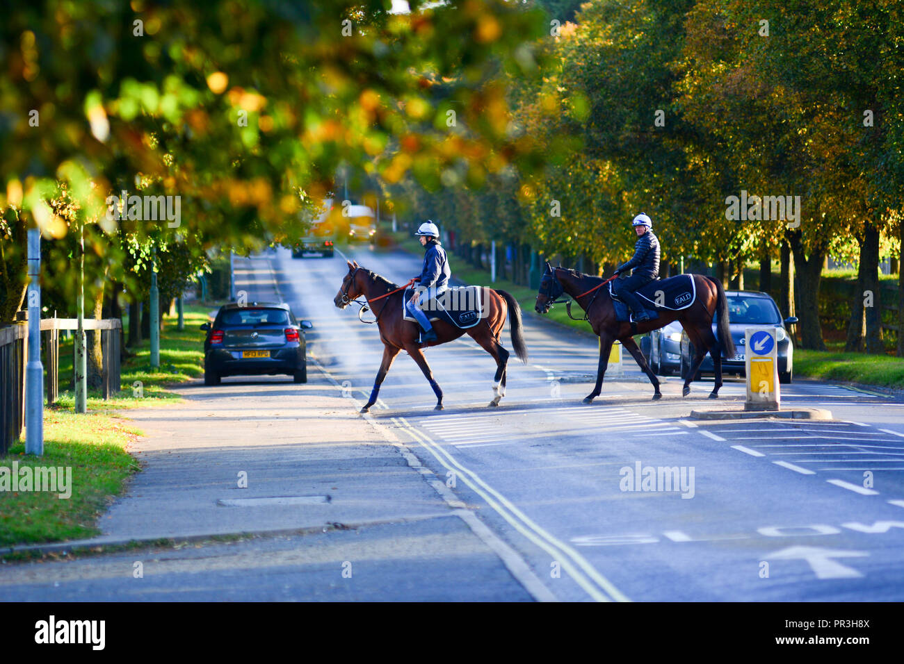 Newmarket trainers hi-res stock photography and images - Alamy