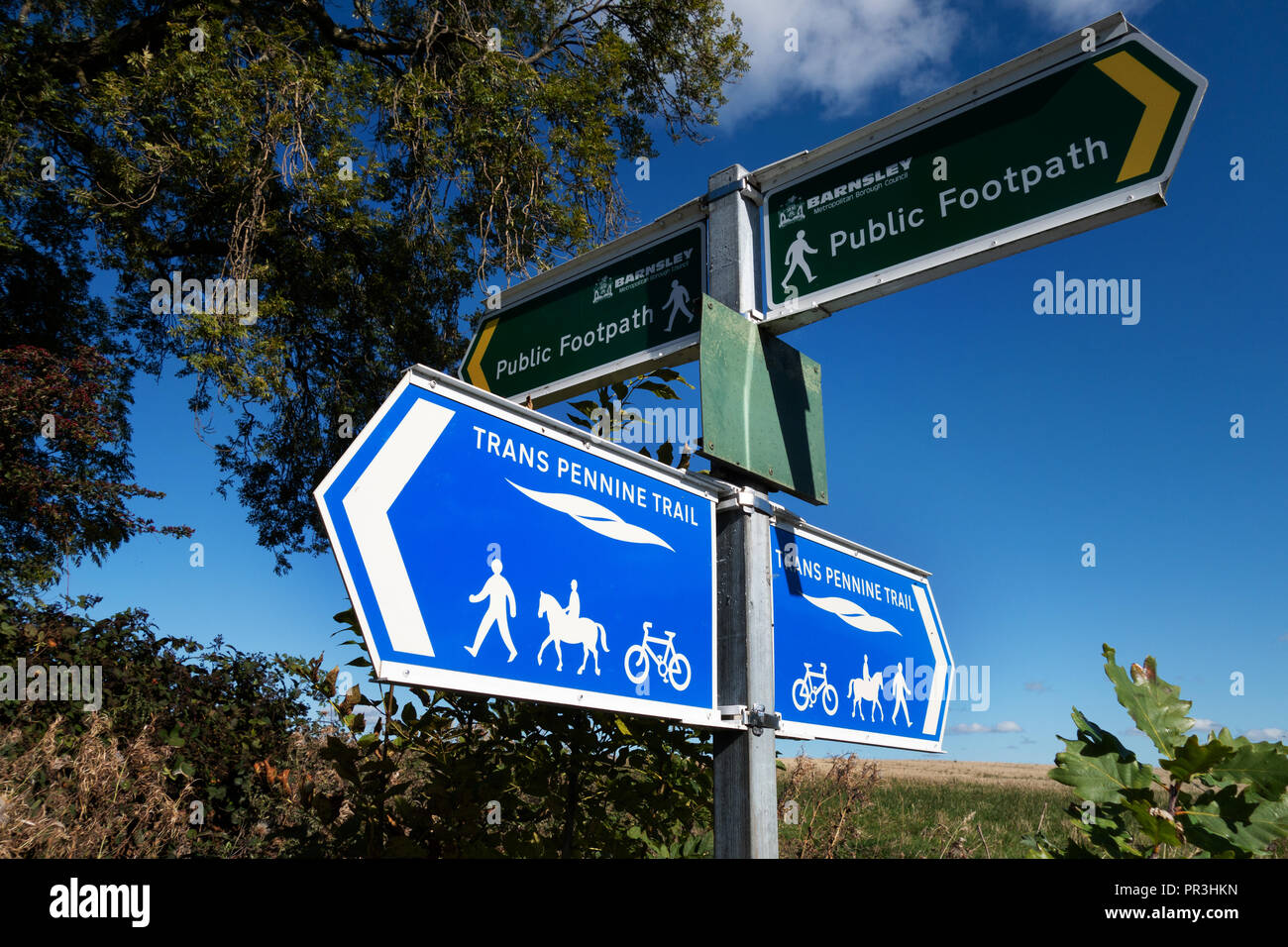 Traffic signal walk directional signal hi-res stock photography and ...