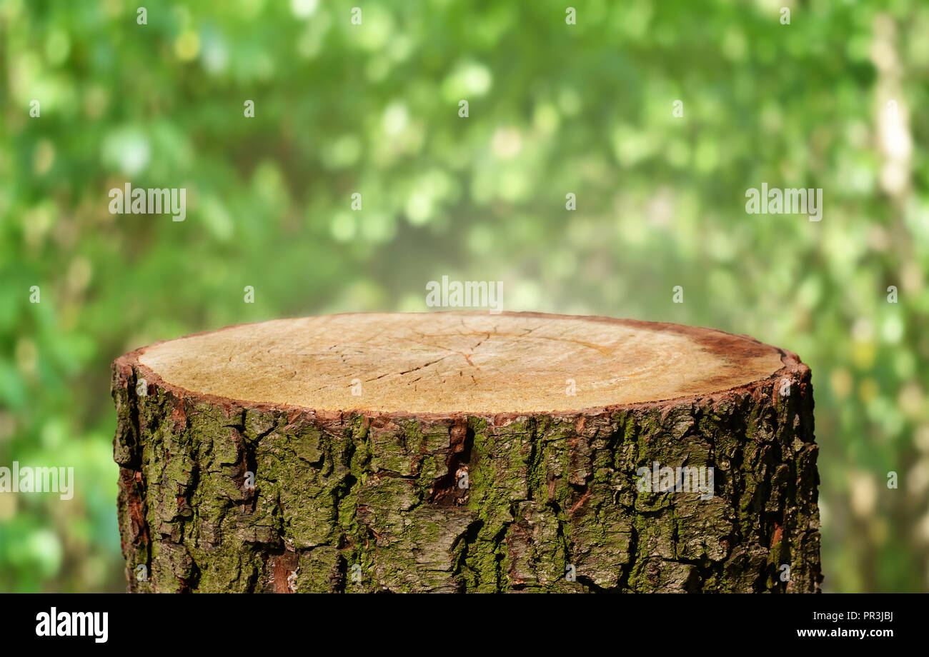 Tree trunk background Stock Photo - Alamy