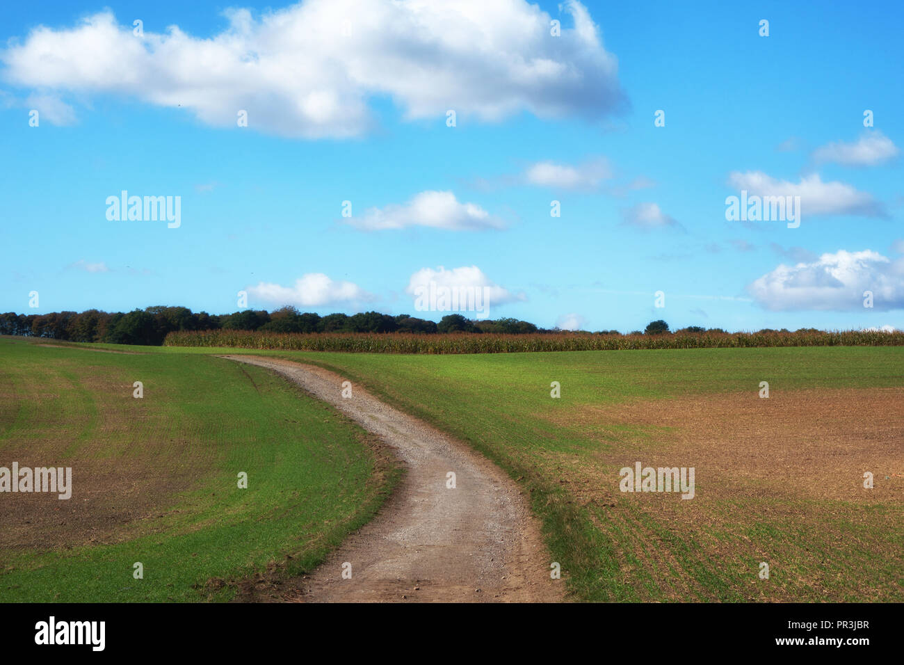 Cinder track that makes up part of the The Pennine Way, near Wortley ...